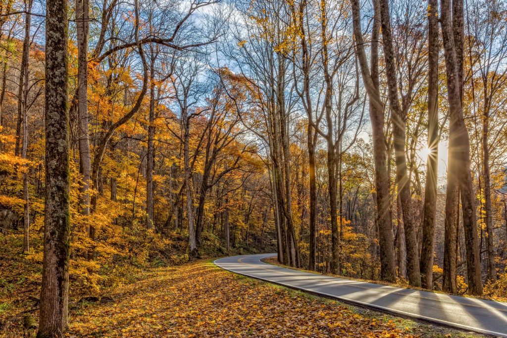 Willow Brook Fall Drive - Accommodations by Willow Brook Lodge: Hotel in Pigeon Forge TN